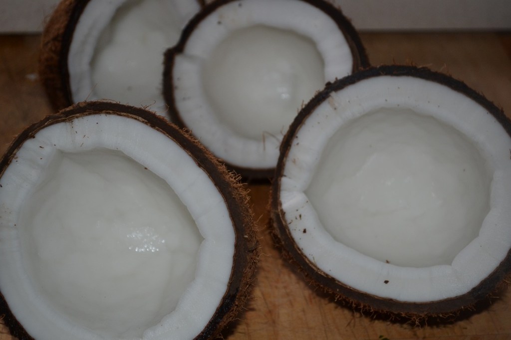 How Do I Store The Grated Coconut? – Aji's Home
