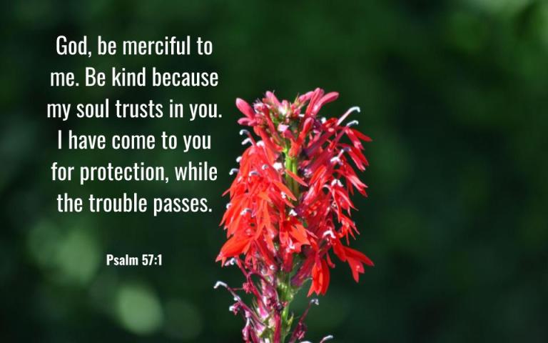 Psalm 57:1 – Aji's Home