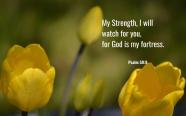 Psalm 59 9 Aji s Home Psalm 59 9 Aji s Home