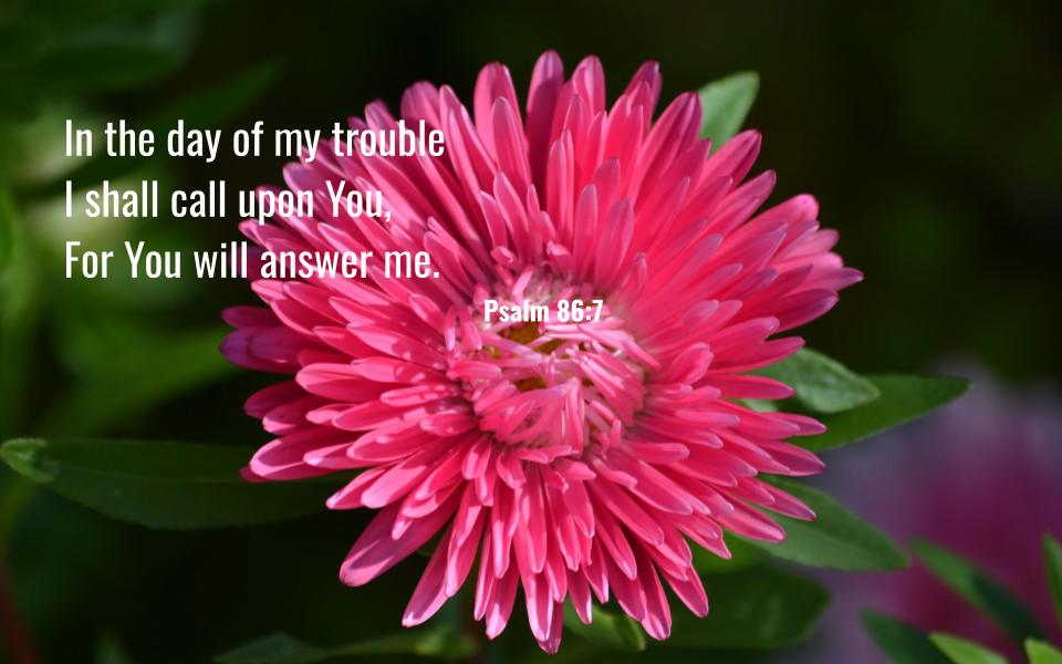 Psalm 86:7 – Aji's Home