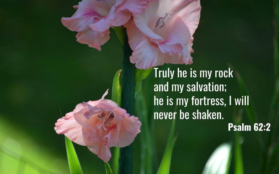 Psalm 62:2 – Aji's Home
