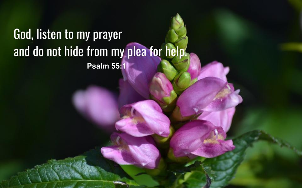Psalm 55:1 – Aji's Home