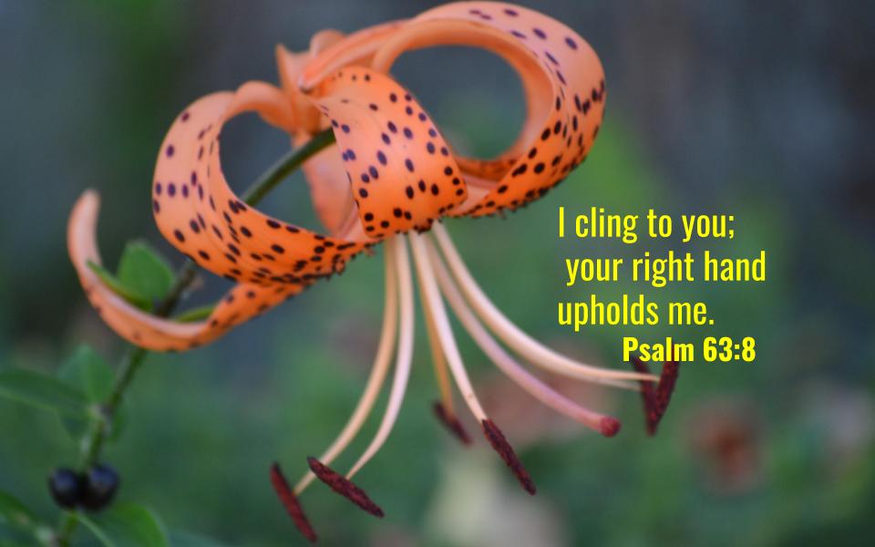 Psalm 63:8 – Aji's Home