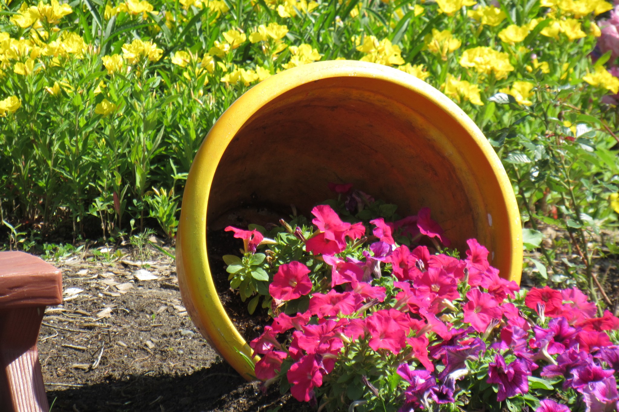 Spilled Flower Pot (How To Make Your Own) – Aji's Home
