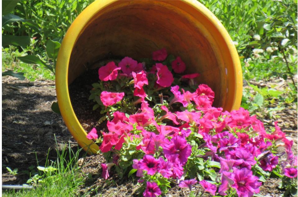 Spilled Flower Pot (How To Make Your Own) – Aji's Home