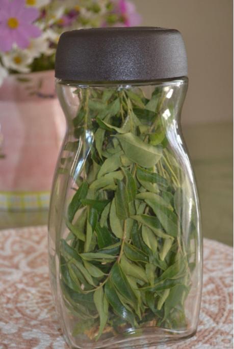 Storing Fresh Curry Leaves – Aji's Home