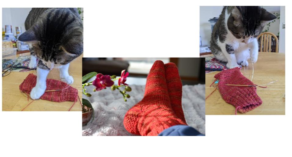Basic Magic Loop Socks – Aji's Home