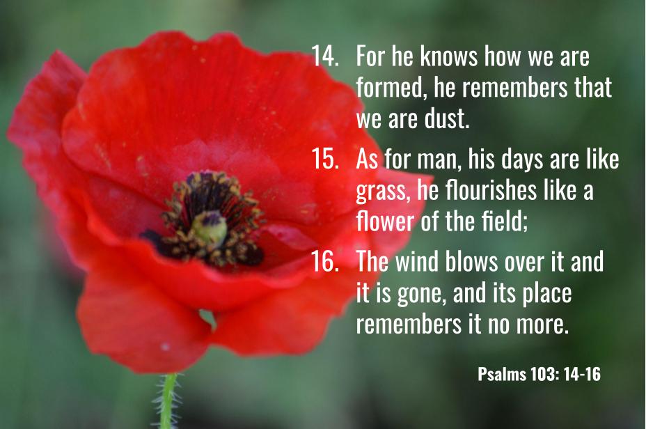July Bible Verses Psalm 103: 14-16 – Aji's Home