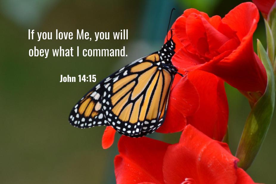 John 14:15 – Aji's Home