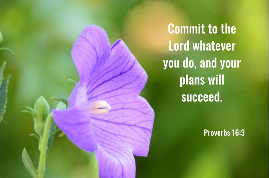 Proverbs 16:3 – Aji's Home