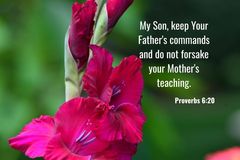 Proverbs 6:20 – Aji's Home