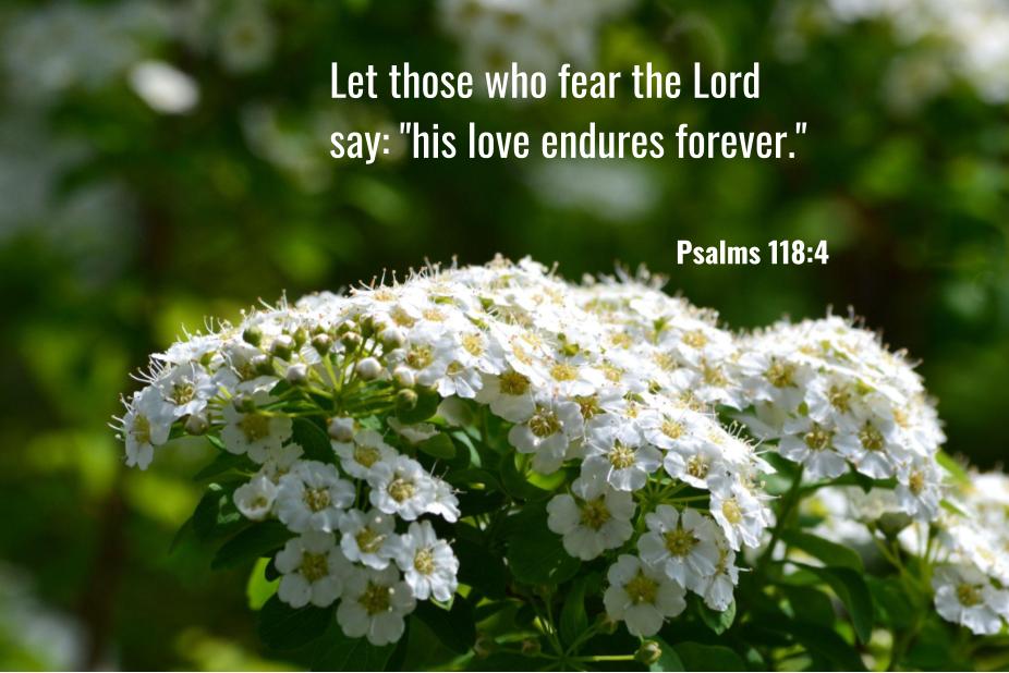 Psalm 118:4 – Aji's Home