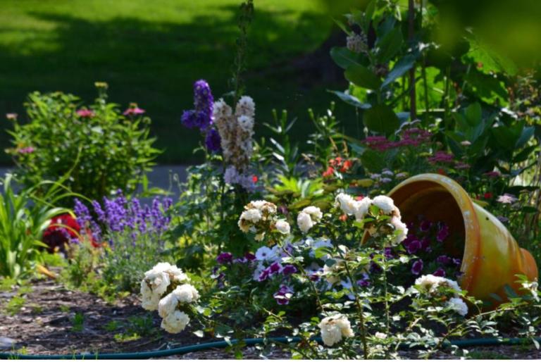 Spilled flower pot Images – Aji's Home