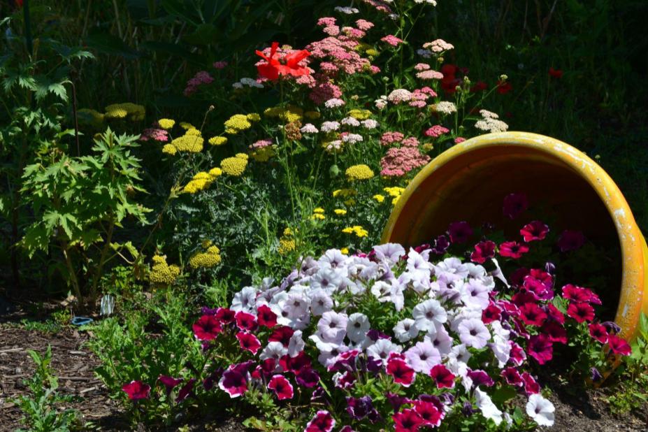 Spilled flower pot Images – Aji's Home