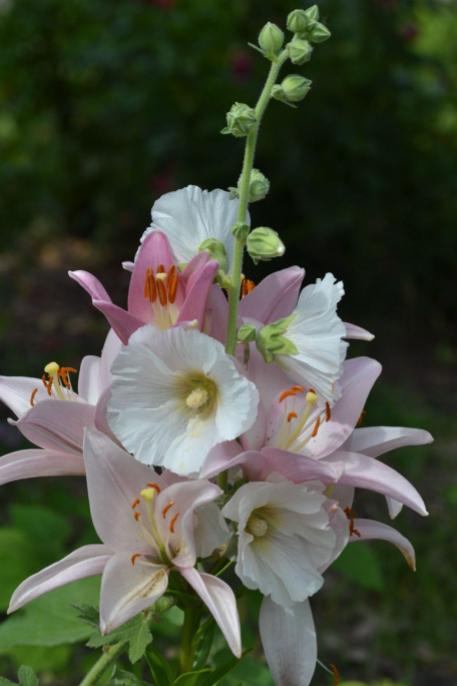 Natural flower bouquet from the garden – Aji's Home