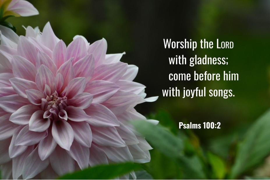 Psalms 100:2 – Aji's Home