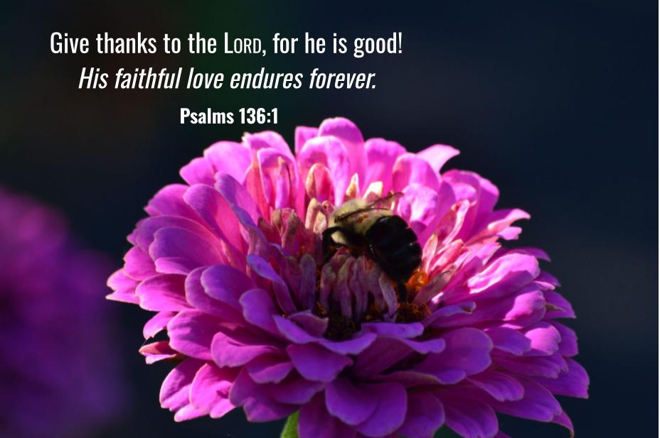 Psalm 136:1 – Aji's Home