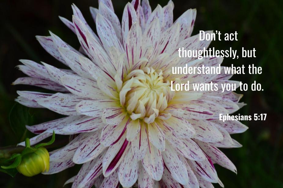 Ephesians 5:17 – Aji's Home