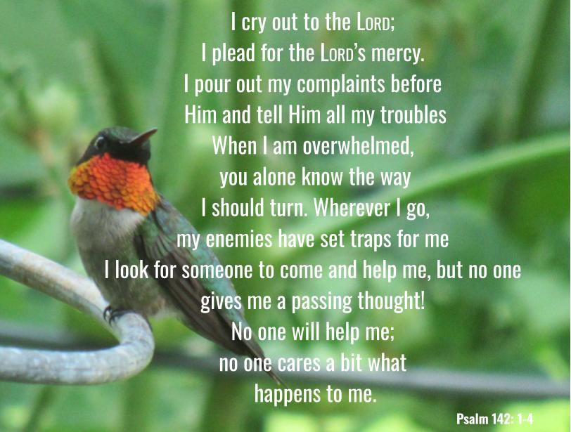 Psalm 142 – Aji's Home